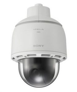 Sony W-Series PTZ Cameras - Kintronics