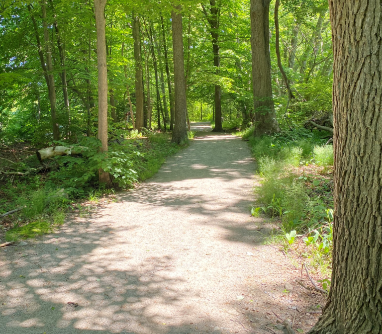 Technical Jokes and Cartoons Jokes-94 - Kintronics